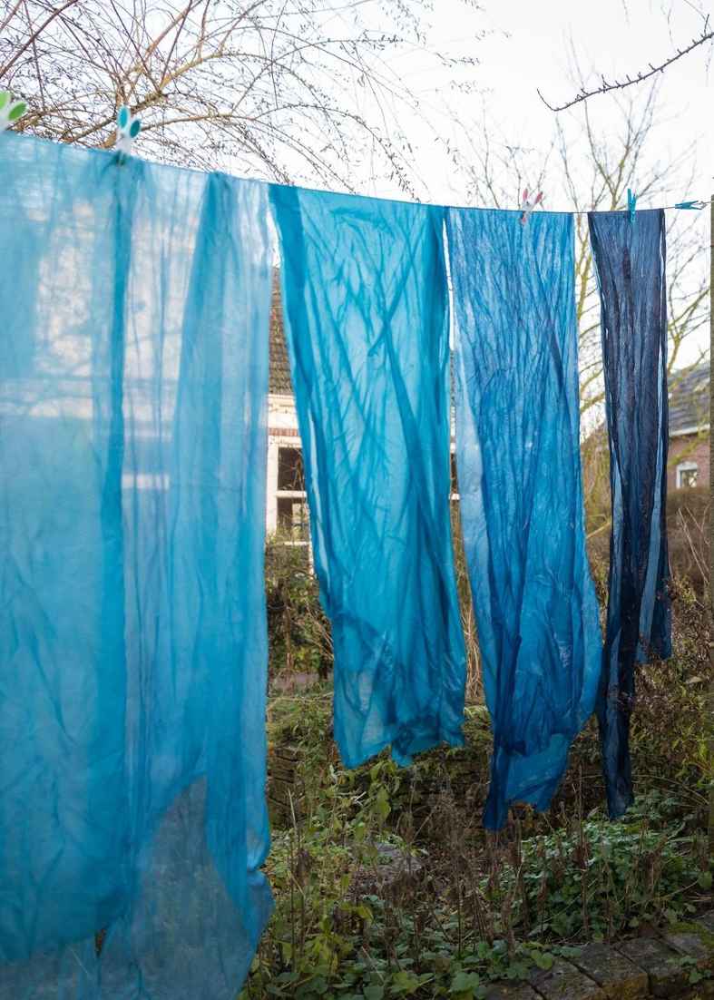 Triodos Foundation | Draag bij aan verandering