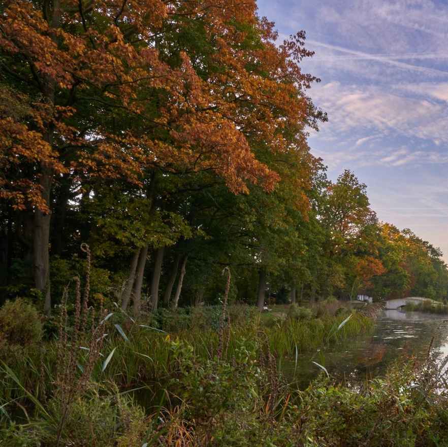 Triodos Foundation | Draag bij aan verandering