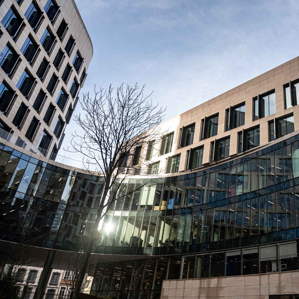 Triodos België verhuist zo duurzaam mogelijk