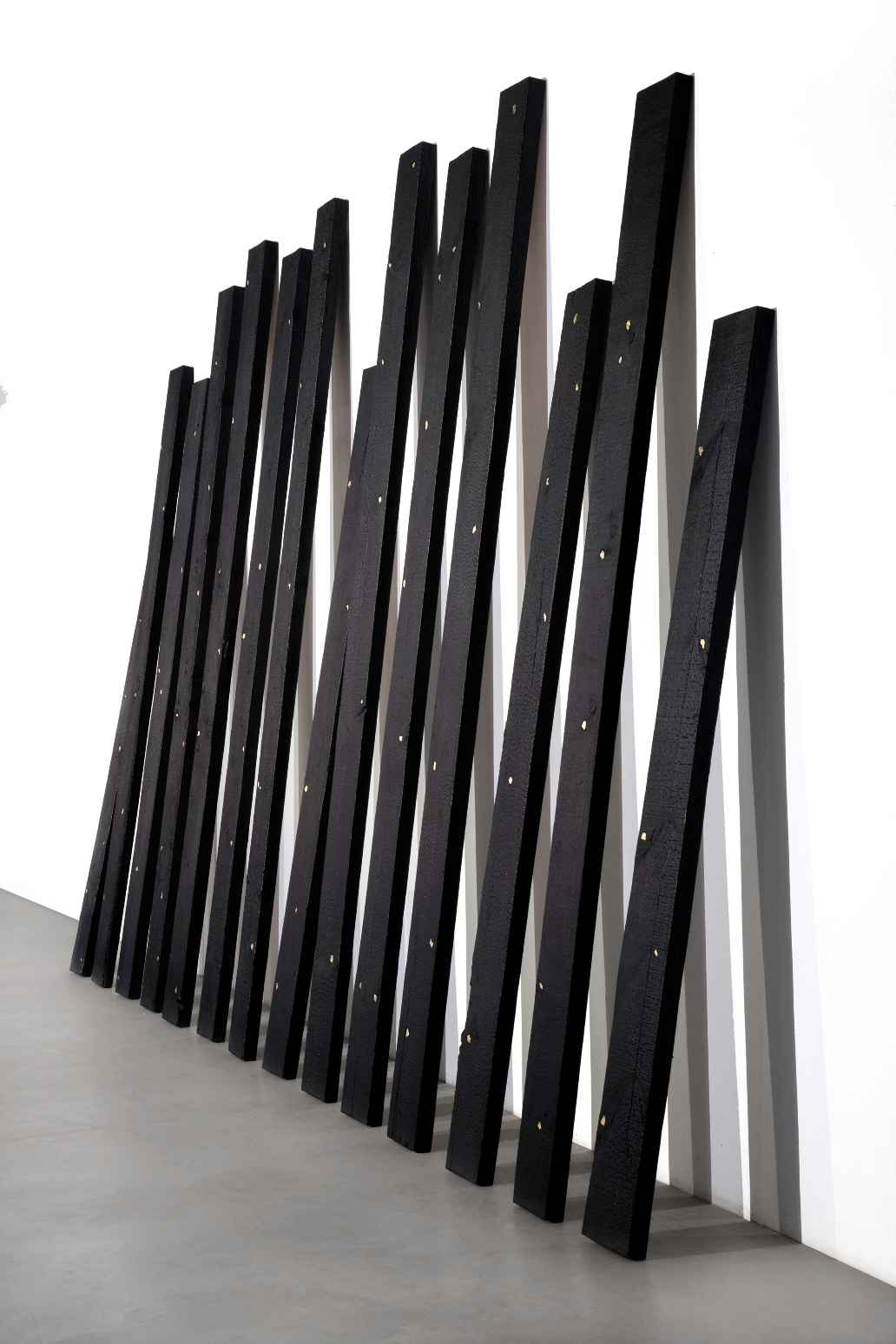 Kunstenaar Floris Boccanegra Triodos Foundation